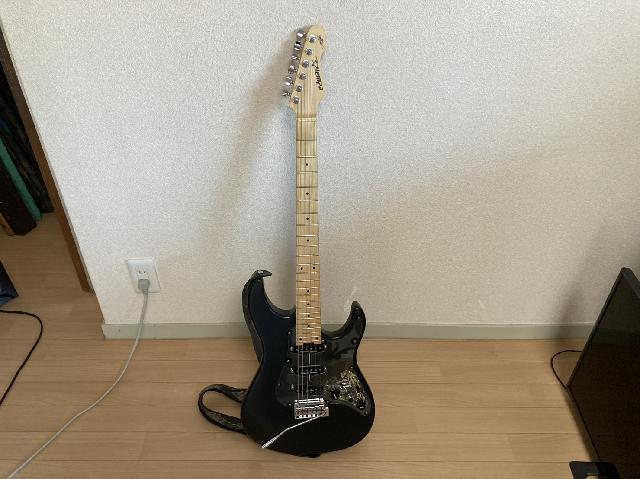 EDWARDS エドワーズ エレキギター E-SYUNAPPER-I SYU GALNERYUS シ（ギター・ヴァイオリン等）の買取価格 ...